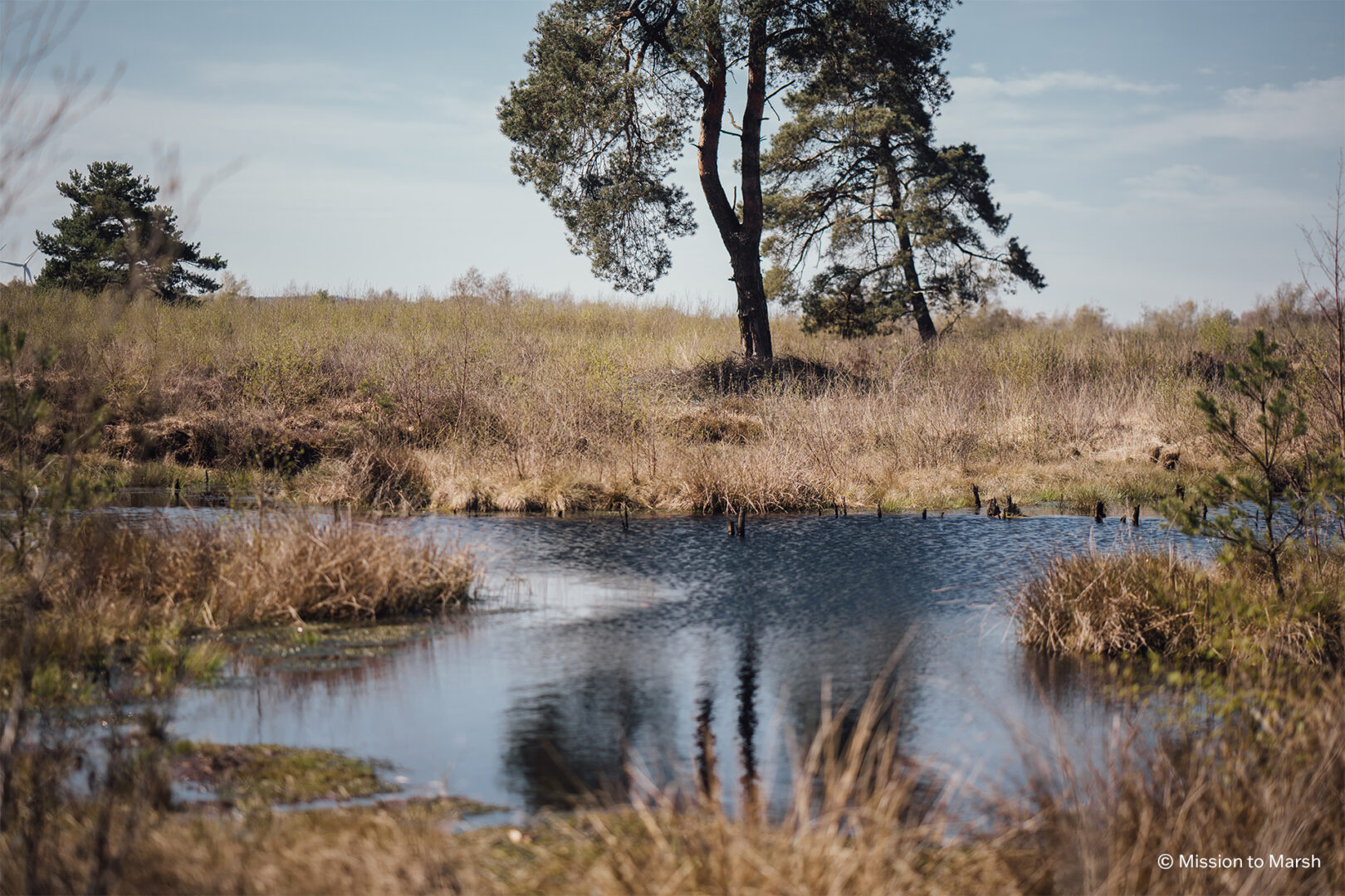 Interseroh+: Renaturierung von Mooren - RECYCLING magazin